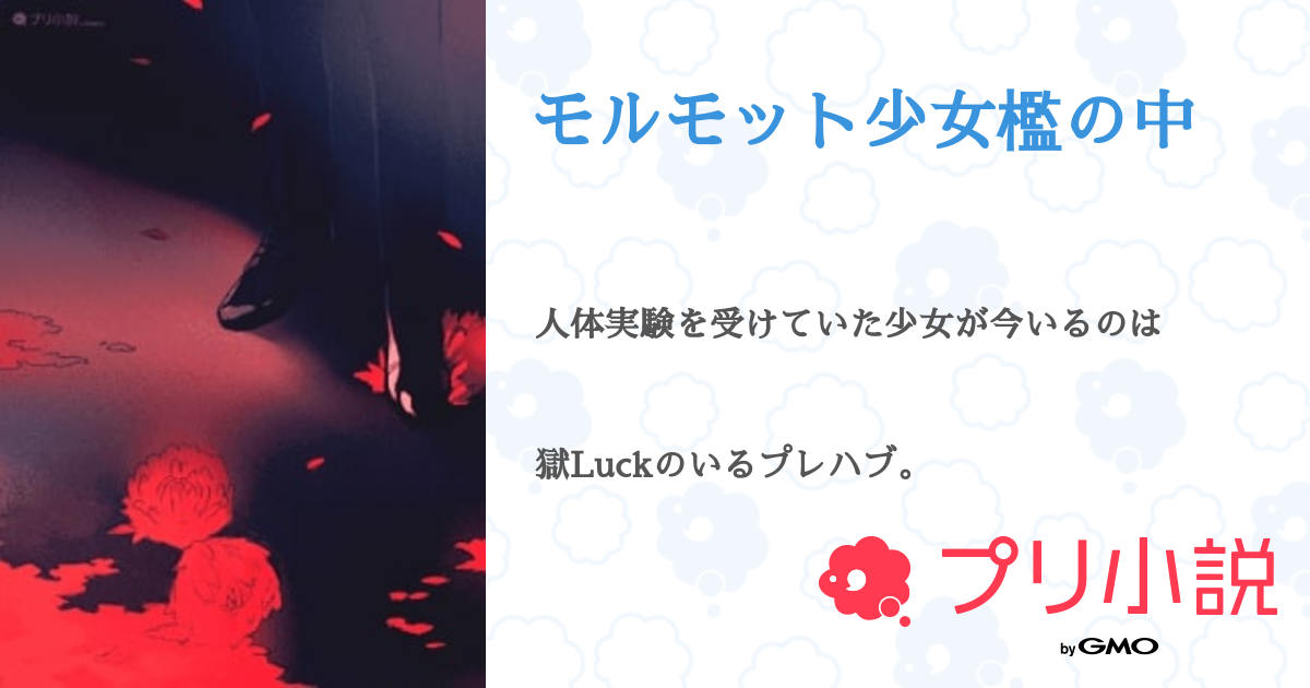 モルモット少女檻の中 全55話 【連載中】（雨だねさんの夢小説） 無料スマホ夢小説ならプリ小説 Bygmo